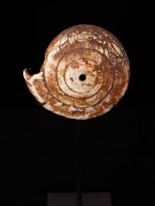 Currency Shell (#2) - Central & Southern Africa