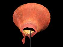 'Isicholo' Hat - Zulu, South Africa (MW72)